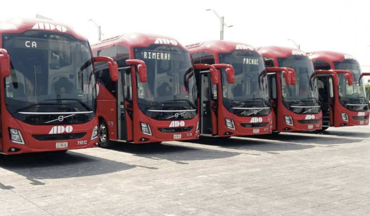 ADO estrena 45 autobuses Volvo | Revista TyT