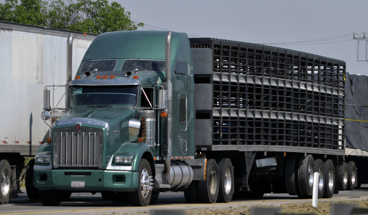 Jalisco, con el diesel más caro por segunda semana consecutiva ...