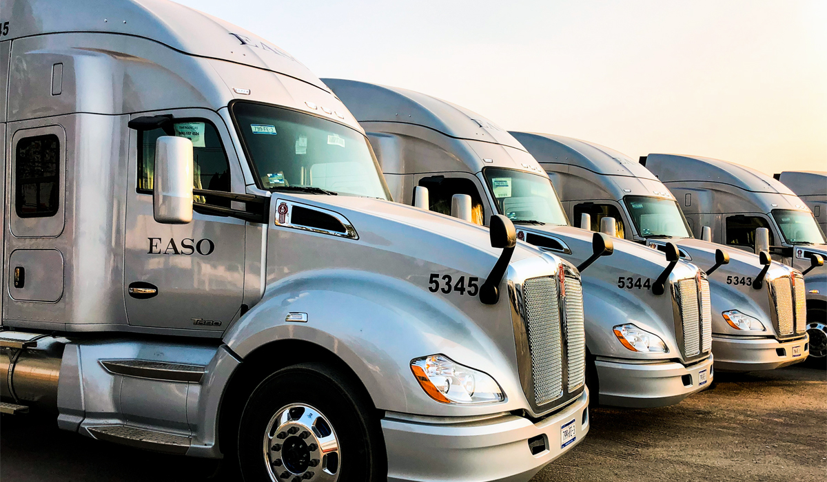 Tres prioridades de EASO en tiempos de COVID-19 | Revista TyT