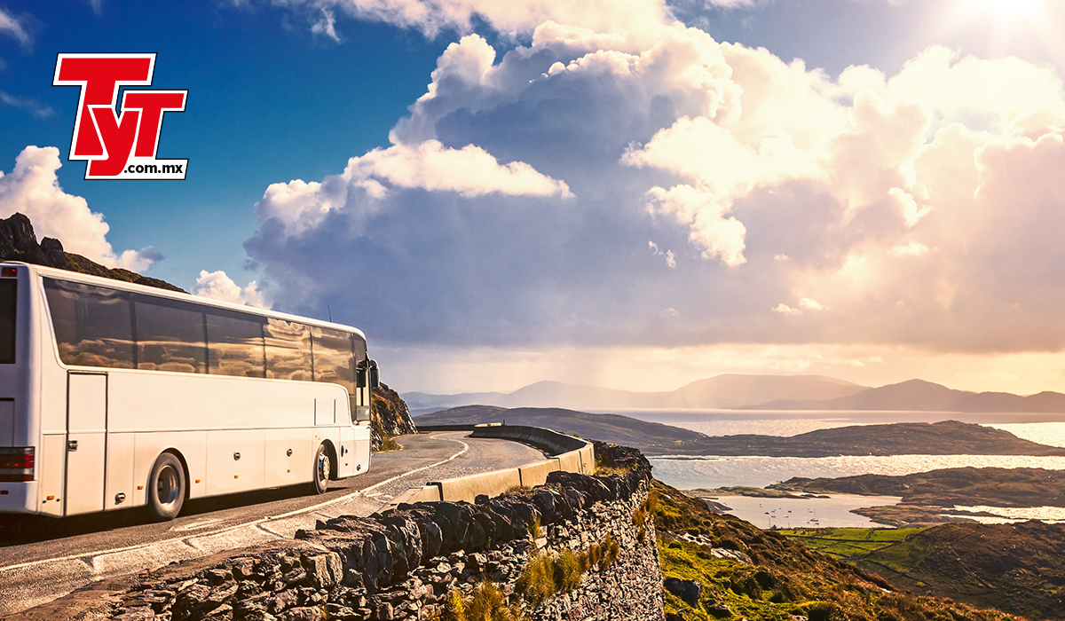 Ofrecer experiencias, clave para reactivar el transporte turístico ...
