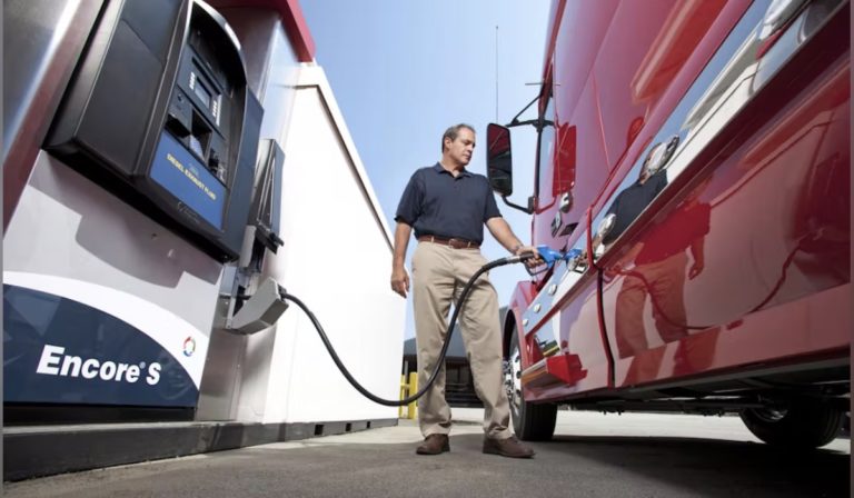 DEF: qué es, cómo funciona y cómo cuidar la urea automotriz | Revista TyT