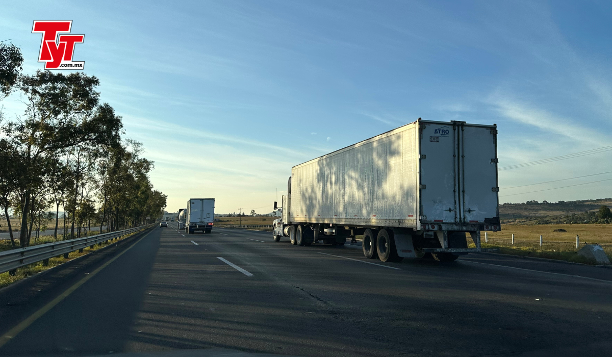 Evitar atropellamientos | Revista TyT