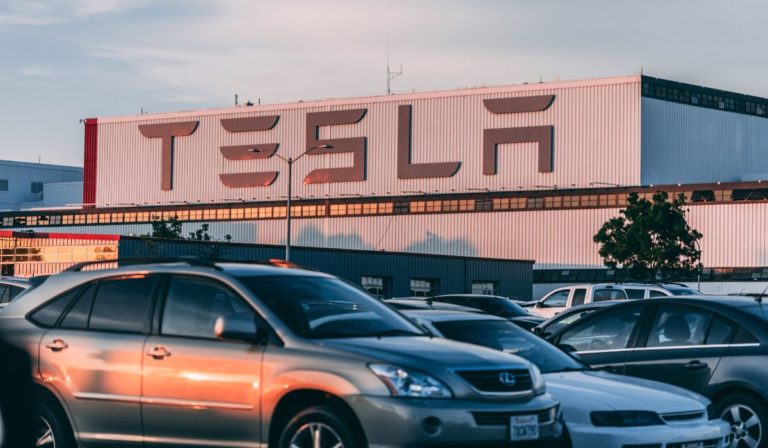 Los 11 Estados Que Levantan La Mano Para La Planta De Tesla En México