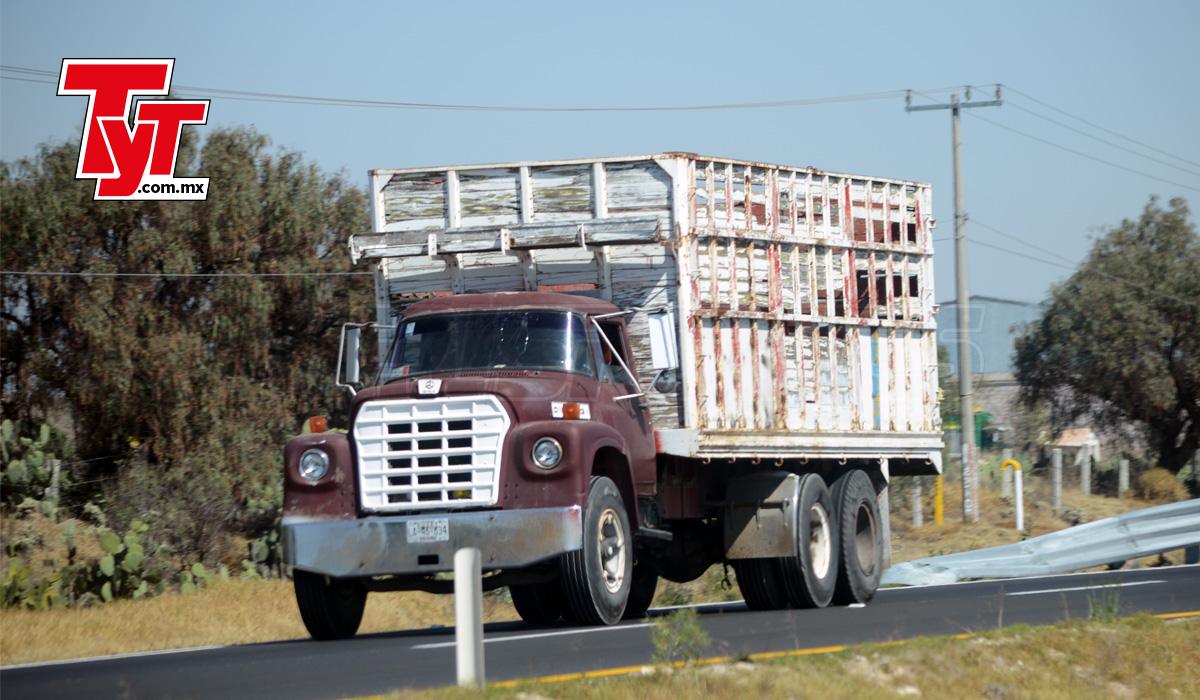 Antigüedad de tortons y rabones promedia 24 años, alerta ANPACT ...