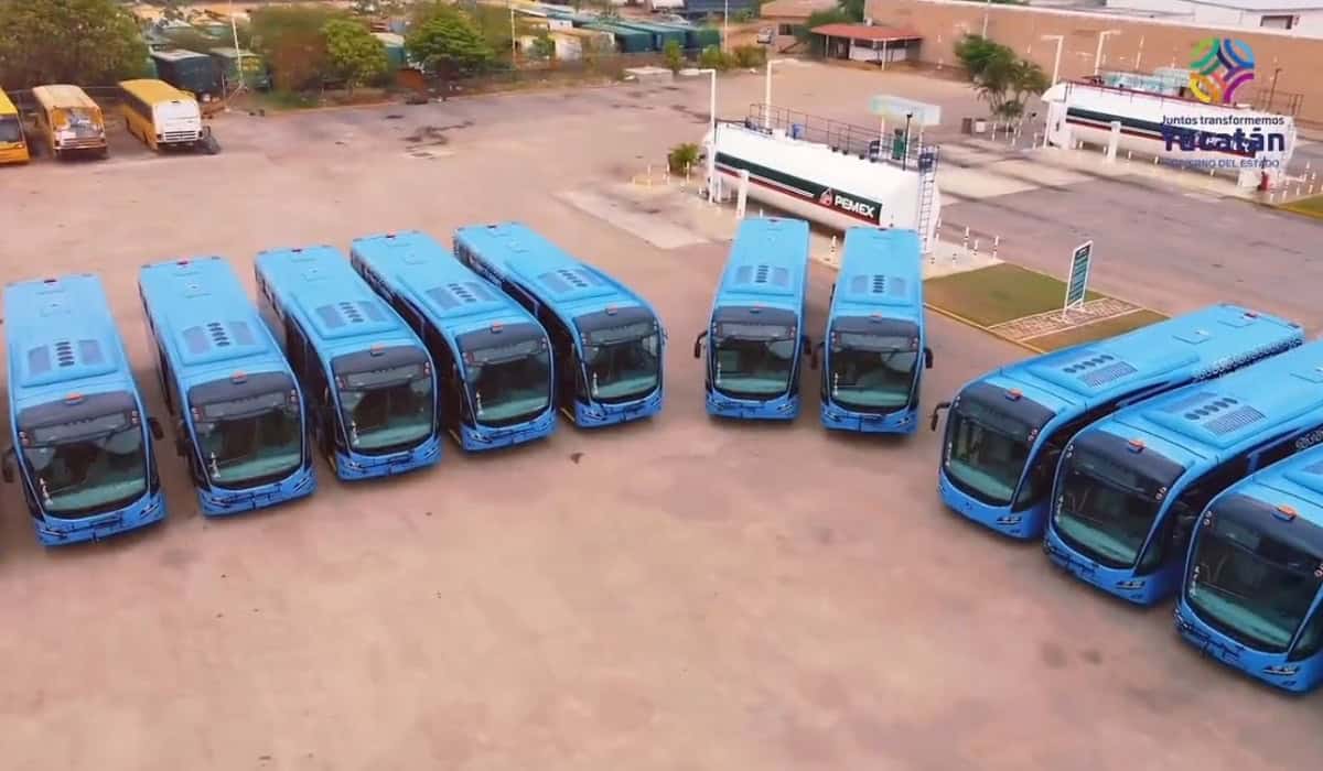 Incorporan 33 autobuses Mercedes-Benz al sistema Va y Ven de Yucatán ...