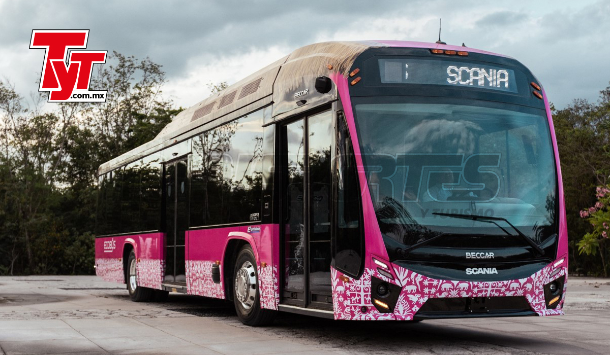 Beccar, la carrocera mexicana pionera en electromovilidad | Revista TyT