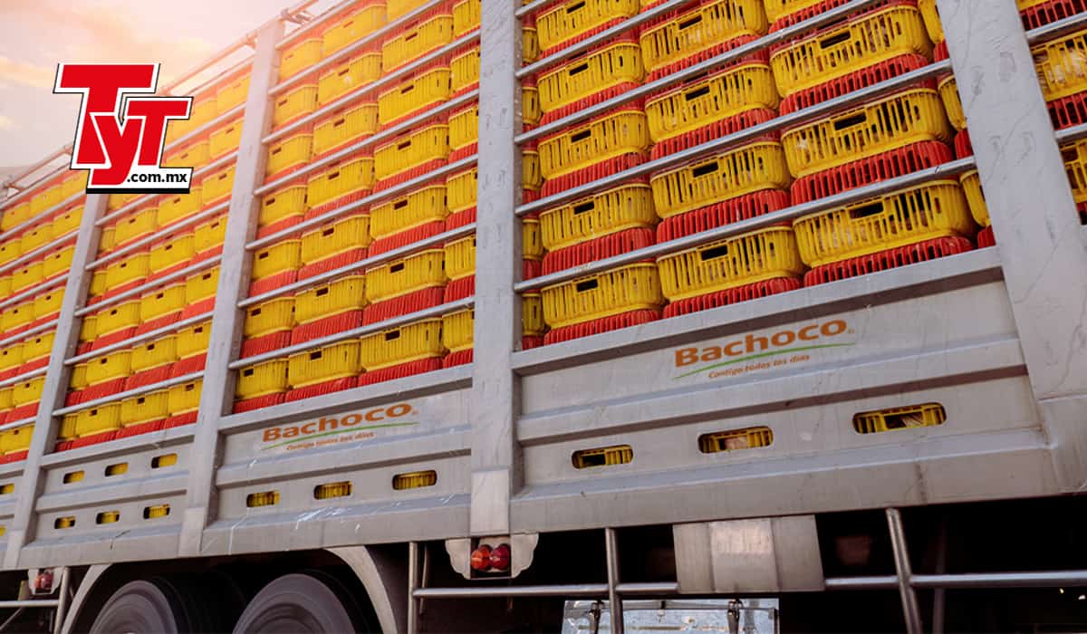 Yucatán deja de importar huevos con nuevas granjas de Bachoco | Revista TyT