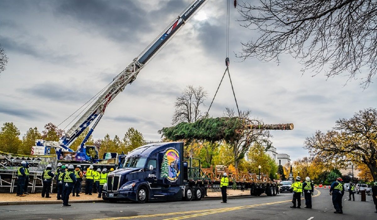 Así es transportar el árbol de Navidad del Capitolio en un Kenworth ...