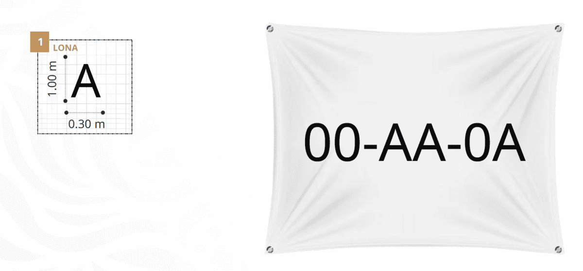 ¿Cómo es el balizado de vehículos en el autotransporte? | Revista TyT