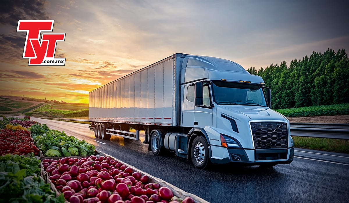 EU confirma arancel de 17% al jitomate mexicano por antidumping ...