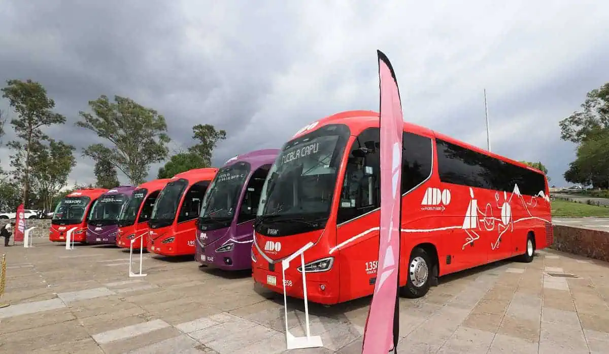 Mobility ADO renovará más de 220 autobuses con una inversión de 1,500 ...